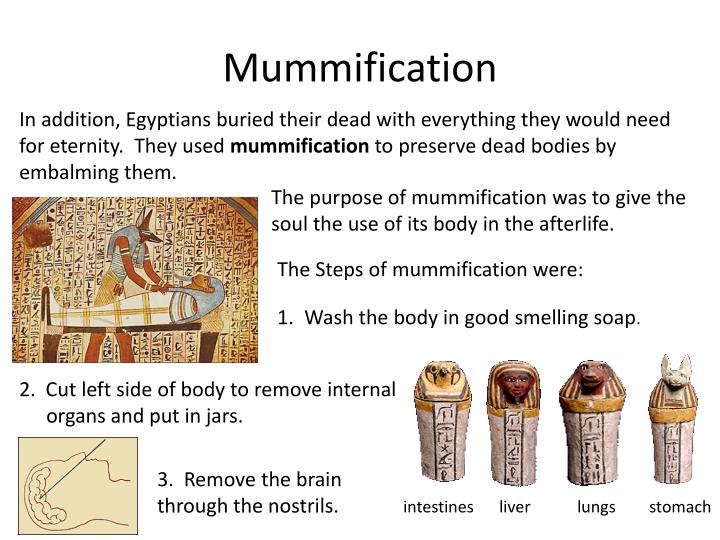 PPT - Ancient Egypt PowerPoint Presentation - ID:5468248