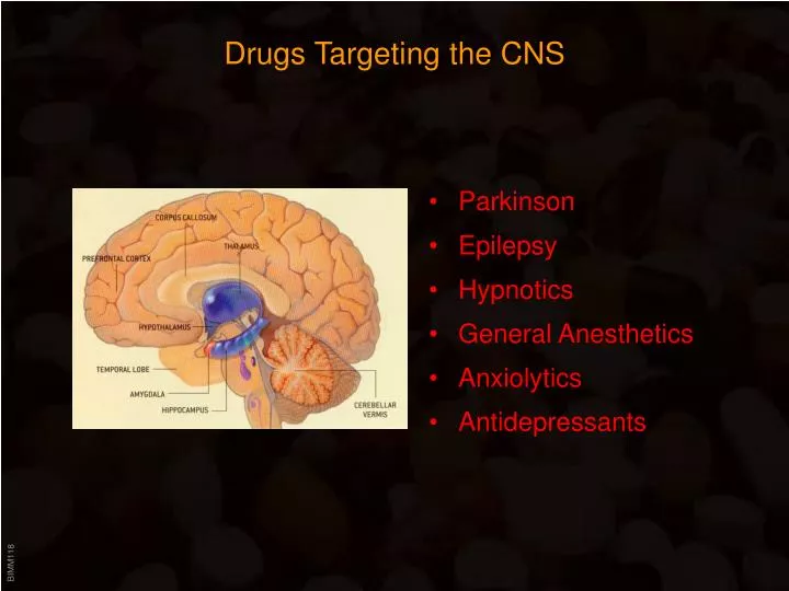 PPT - Drugs Targeting the CNS PowerPoint Presentation, free download ...