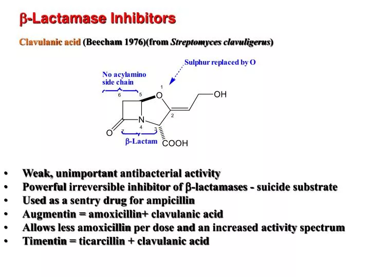 PPT - b - Lactamase Inhibitors PowerPoint Presentation, free download ...
