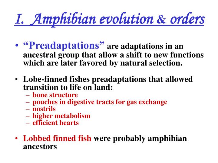 PPT - Class: Amphibians (Chapter 40) The name amphibian means "double ...