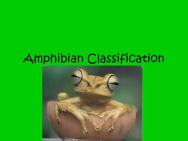 PPT - Amphibian Classification PowerPoint Presentation, free download ...