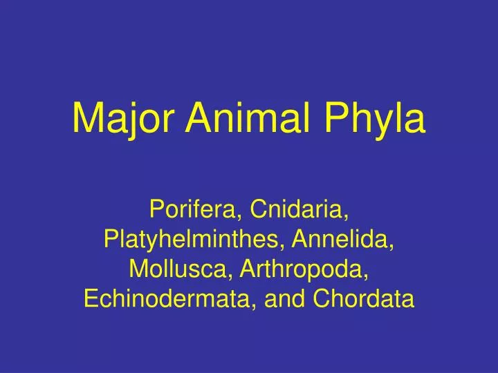 PPT - Major Animal Phyla PowerPoint Presentation, free download - ID ...