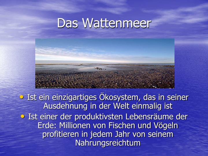 PPT - Sylt – einzigartige Insel im Nationalpark Wattenmeer PowerPoint ...