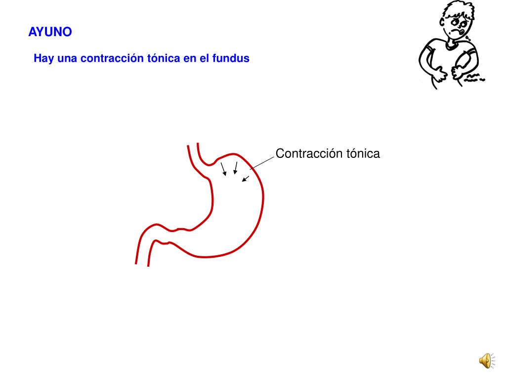 PPT - MOTILIDAD GÁSTRICA PowerPoint Presentation, free download - ID ...