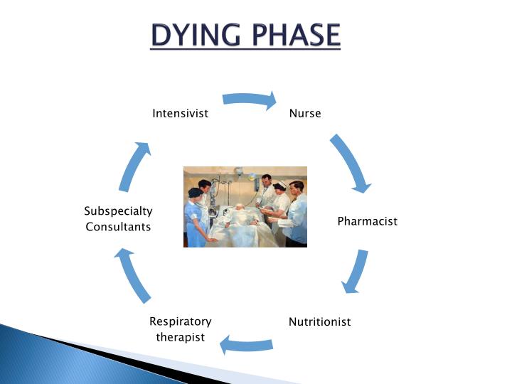 PPT - Theory Presentation Peaceful End of Life Cornelia M. Ruland and Shirley M. Moore ...