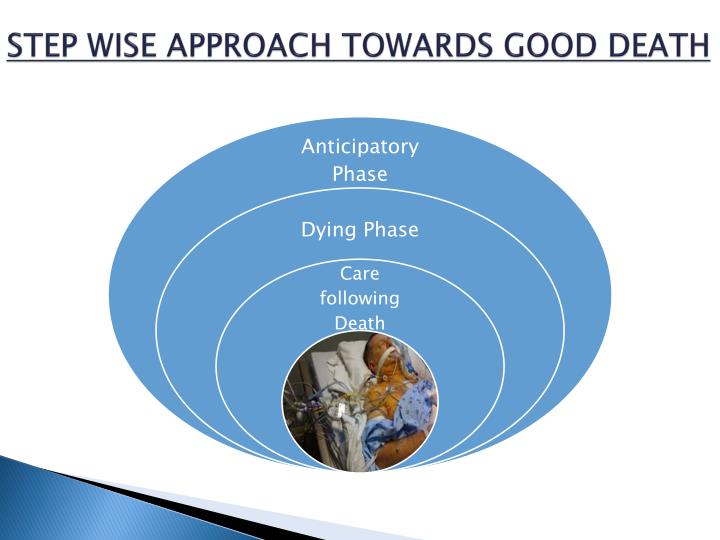 PPT - Theory Presentation Peaceful End of Life Cornelia M. Ruland and ...