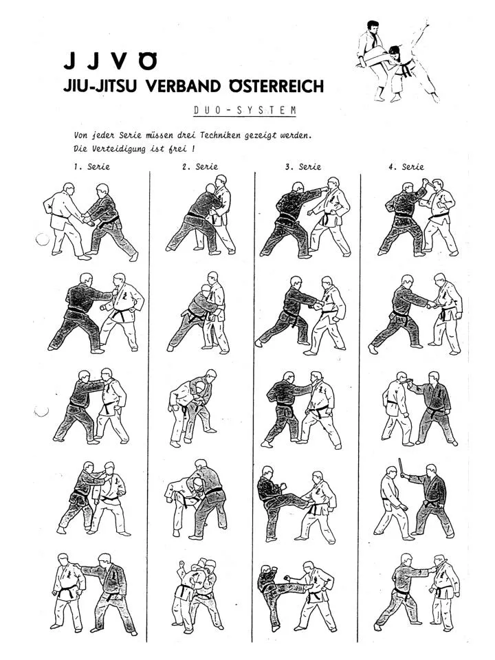 PPT - duo-system PowerPoint Presentation, free download - ID:5475297