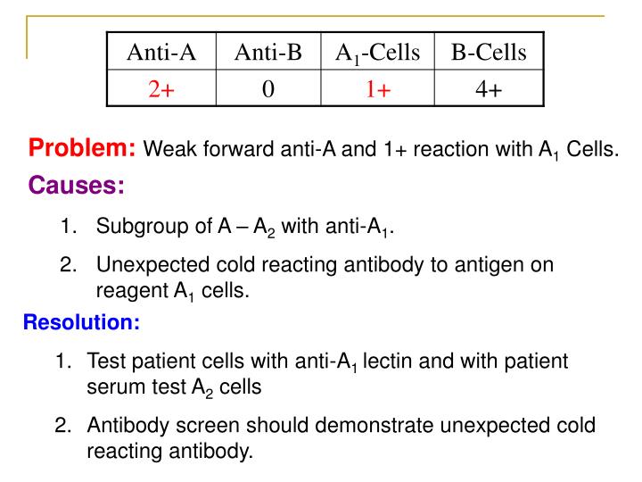 PPT - Practical Blood Bank PowerPoint Presentation - ID:5475556