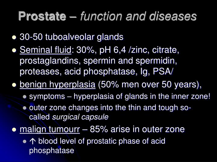 PPT - Male genital system Systema genitalium masculinum Morphology ...