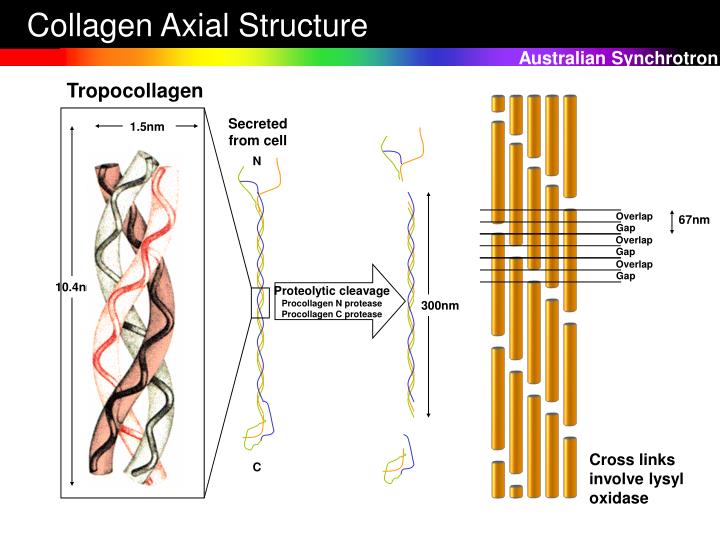PPT - Small Angle X-ray Scattering PowerPoint Presentation - ID:5476038
