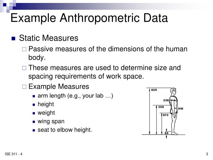 PPT - Anthropometry PowerPoint Presentation - ID:5476396
