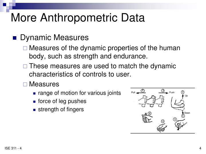 PPT - Anthropometry PowerPoint Presentation - ID:5476396