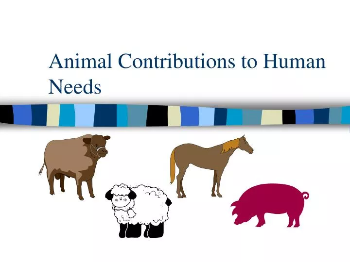 PPT - Animal Contributions to Human Needs PowerPoint Presentation, free ...