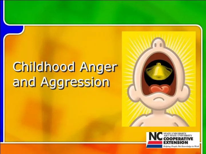 PPT - Childhood Anger and Aggression PowerPoint Presentation, free download - ID:5478258