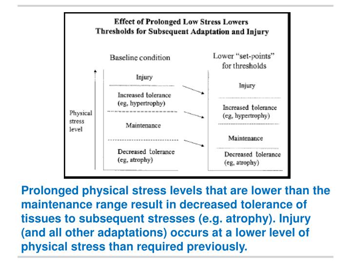 PPT - Theories of Aging PowerPoint Presentation - ID:5480931