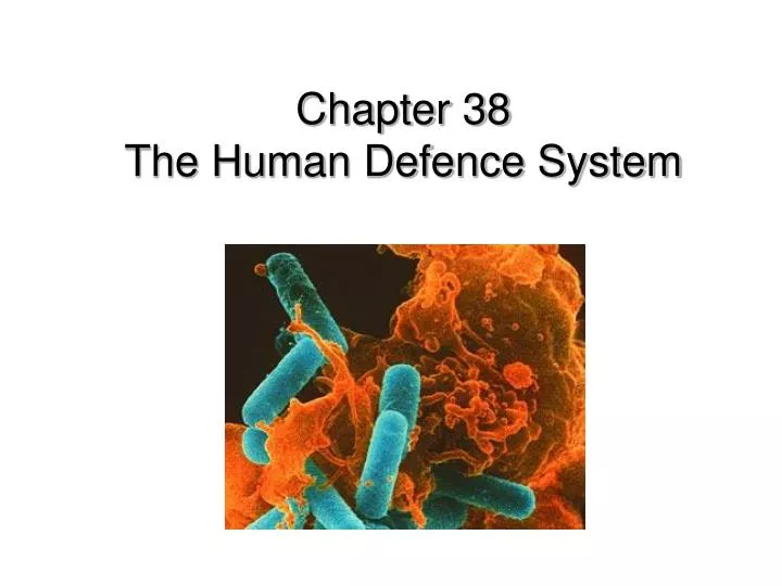 PPT - Chapter 38 The Human Defence System PowerPoint Presentation, free ...