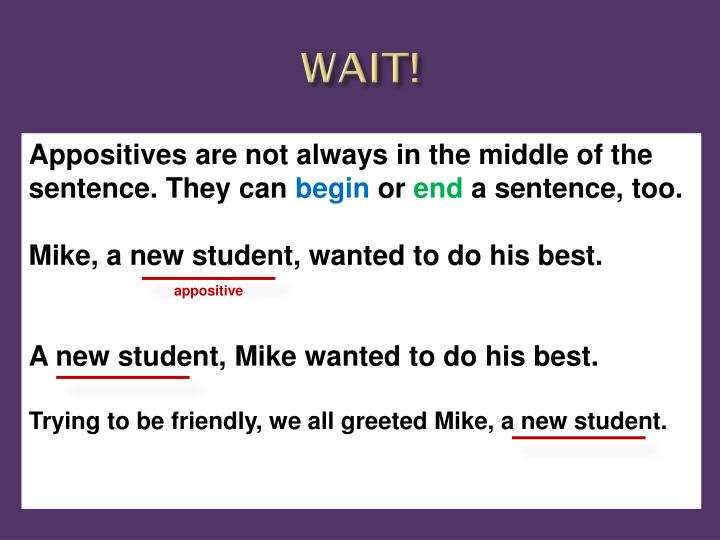 PPT - The Appositive PowerPoint Presentation - ID:5482791