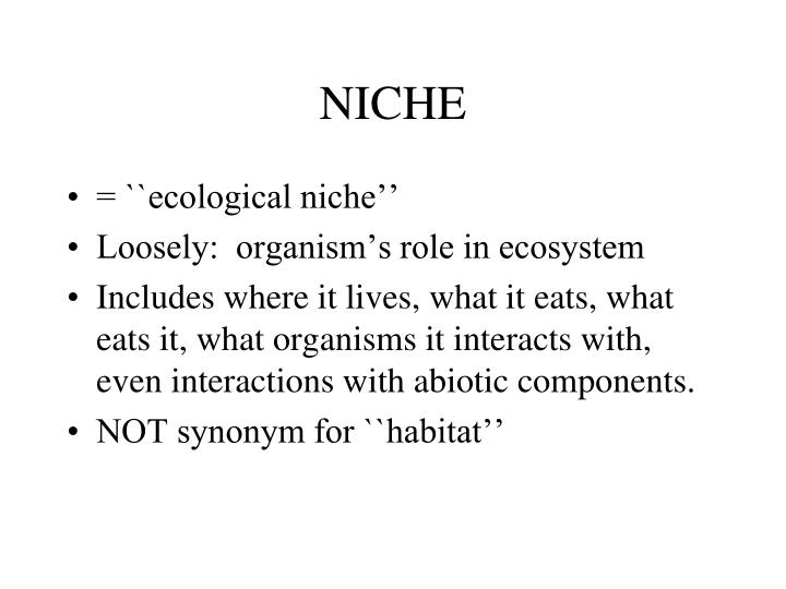 PPT - Fundamental question PowerPoint Presentation - ID:5483176