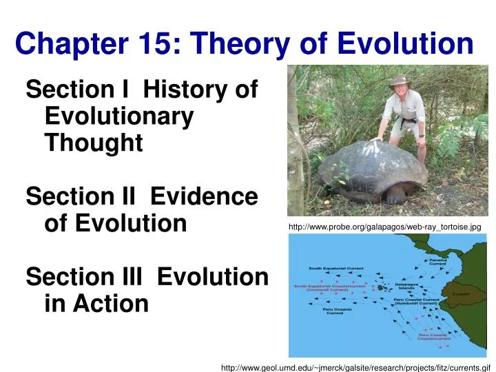 PPT - Chapter 15: Theory of Evolution PowerPoint Presentation, free ...