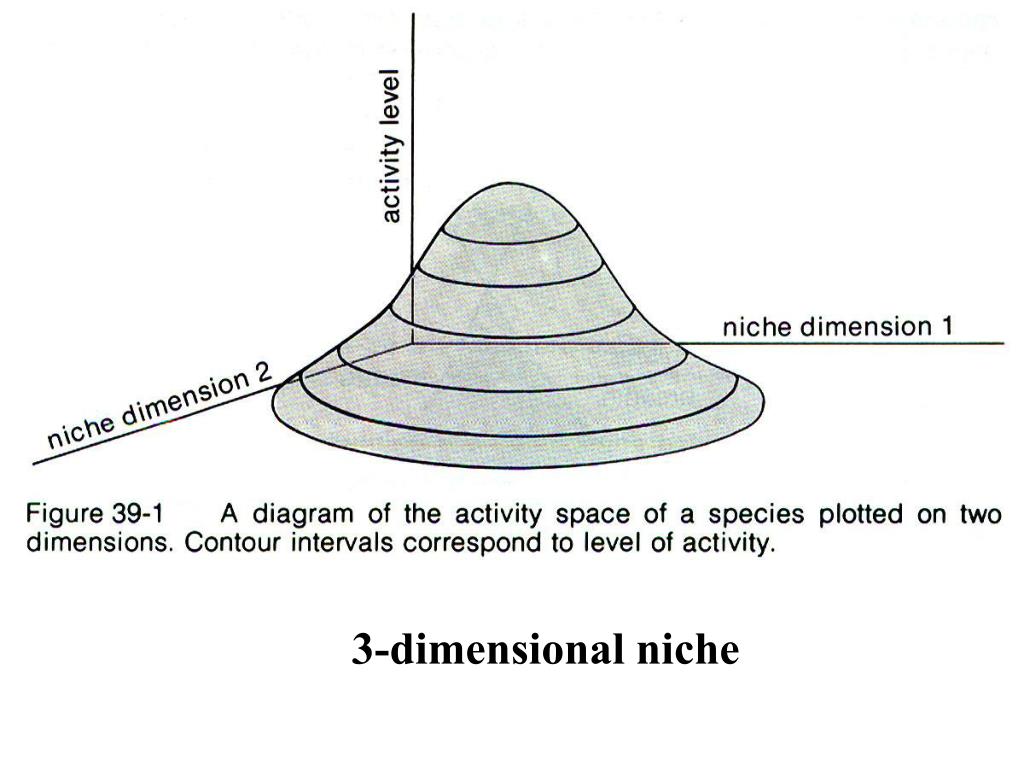 PPT - Community Ecology II: Species Interactions PowerPoint ... PPT - Community Ecology II: Species Interactions PowerPoint ...