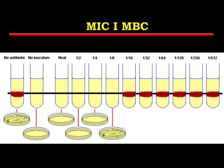 PPT - ANTIBIOGRAM PowerPoint Presentation - ID:5486845