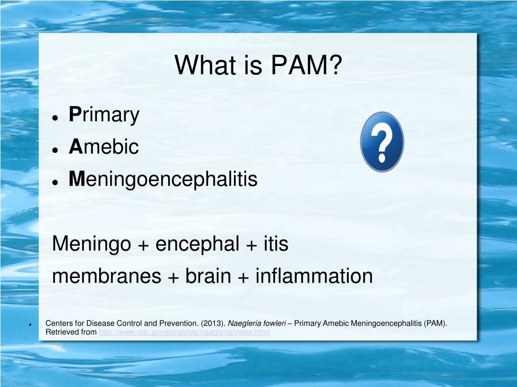 PPT - Naegleria Fowleri : The Danger in Your Swimming Hole Nancy Wilson ...