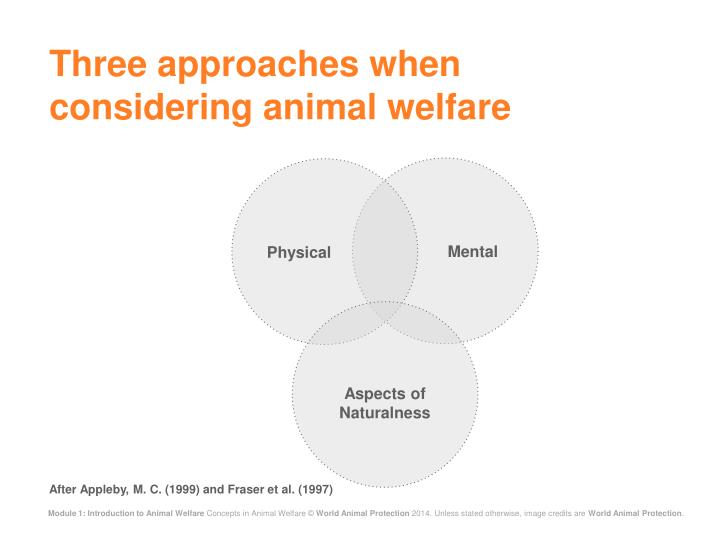 PPT - Introduction to Animal Welfare PowerPoint Presentation - ID:5487952