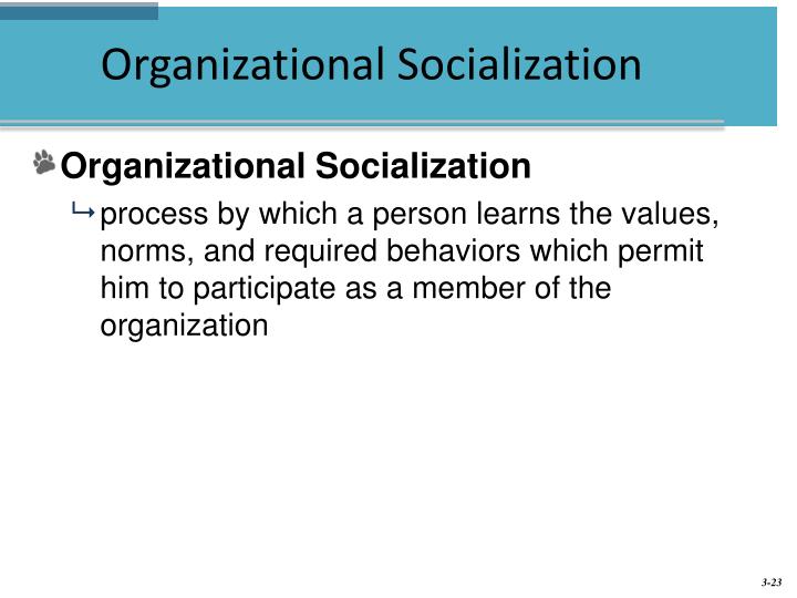 PPT - Organizational Culture, Socialization, and Mentoring PowerPoint ...