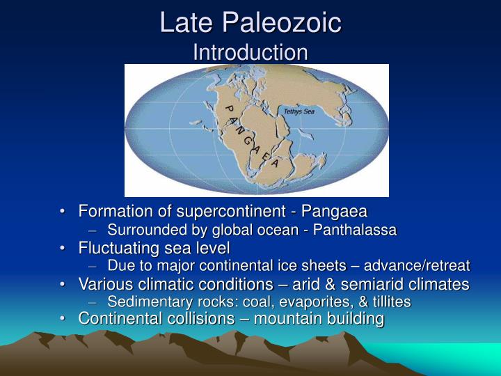 PPT - Late Paleozoic PowerPoint Presentation - ID:5489847