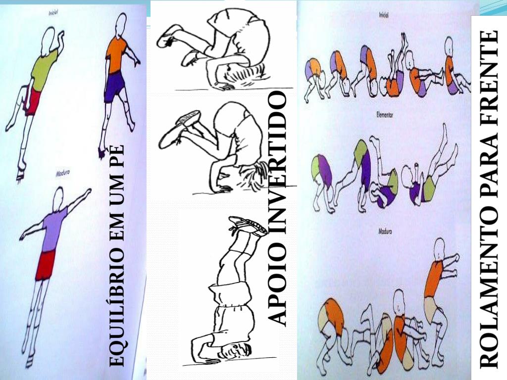 PPT - FASES DE DESENVOLVIMENTO DAS HABILIDADES MOTORAS FASE REFLEXIVA ...