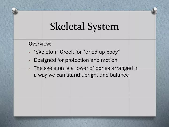 PPT - Skeletal System PowerPoint Presentation, free download - ID:5491396