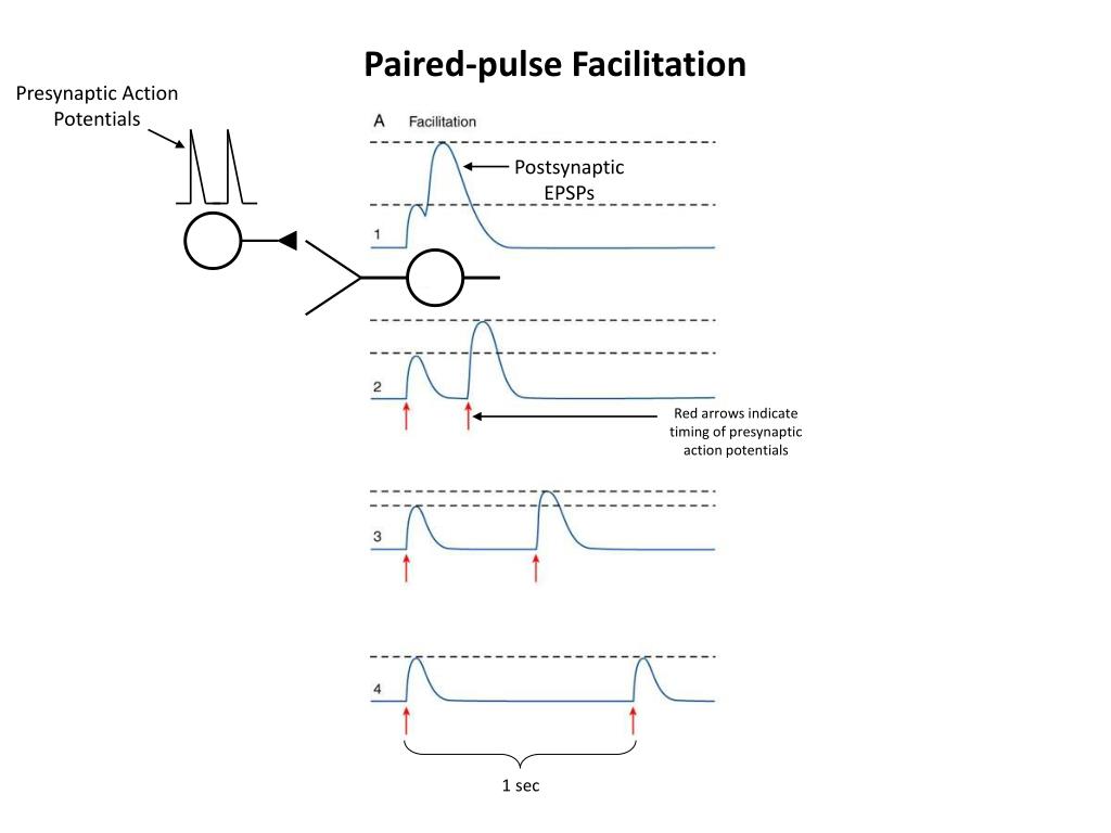PPT - Pernia -Andrade et al. (2009) Science 325:760-764. PowerPoint ...