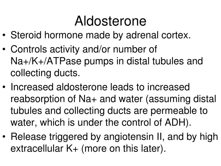 PPT - Renal Pathophysiology I PowerPoint Presentation - ID:5491909