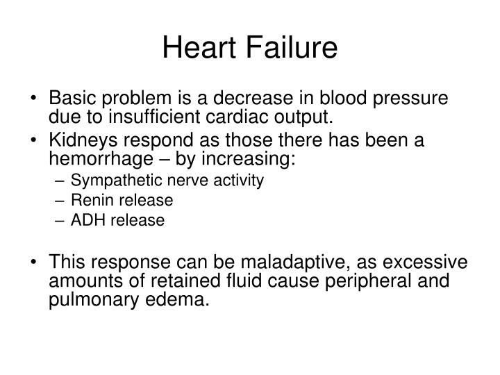 PPT - Renal Pathophysiology I PowerPoint Presentation - ID:5491909