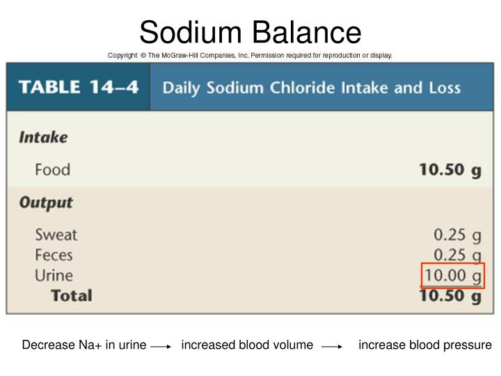 PPT - Renal Pathophysiology I PowerPoint Presentation - ID:5491909