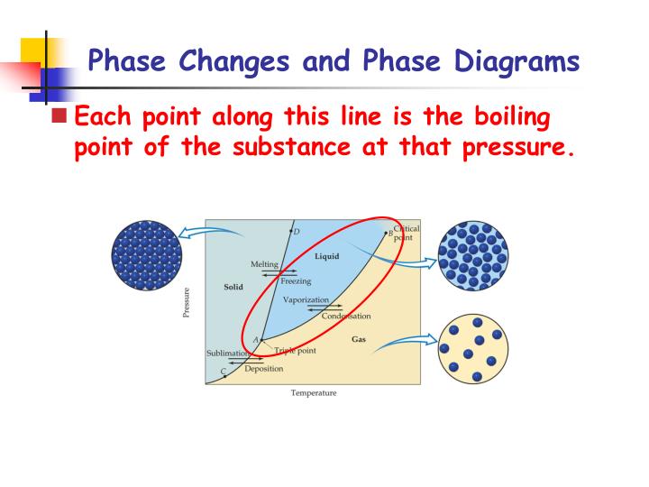 PPT - Phase Changes & Phase Diagrams PowerPoint Presentation - ID:5492277