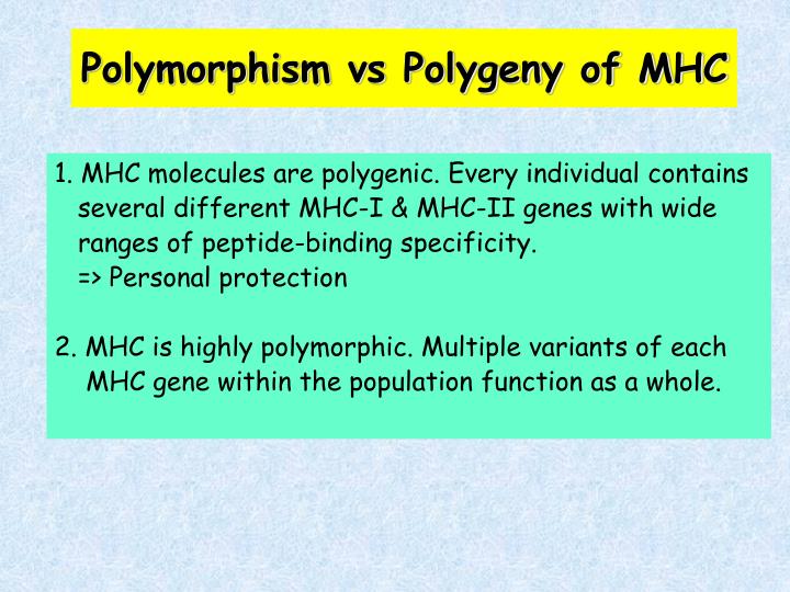 PPT - T Cell Receptor (TCR) & MHC Complexes-Antigen Presentation ...