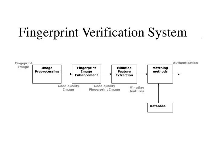 PPT - Fingerprint Verification System PowerPoint Presentation, free download - ID:5493169