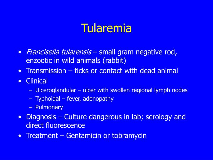 PPT - Board Review PowerPoint Presentation - ID:5493530