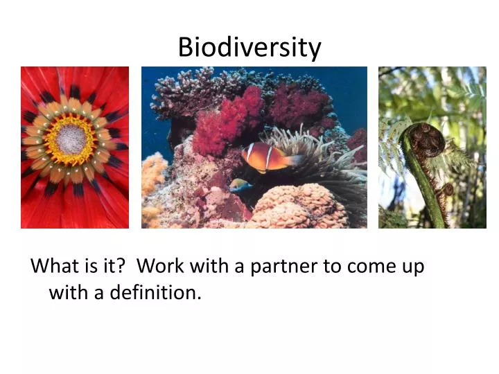 PPT - Biodiversity PowerPoint Presentation, free download - ID:5493595