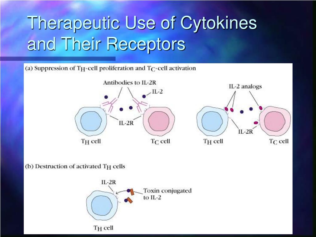 PPT - Cytokines PowerPoint Presentation, free download - ID:5493776 PPT - Cytokines PowerPoint Presentation, free download - ID:5493776