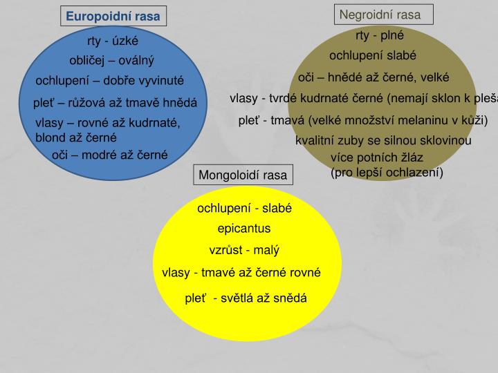 PPT - Lidské rasy PowerPoint Presentation - ID:5494064