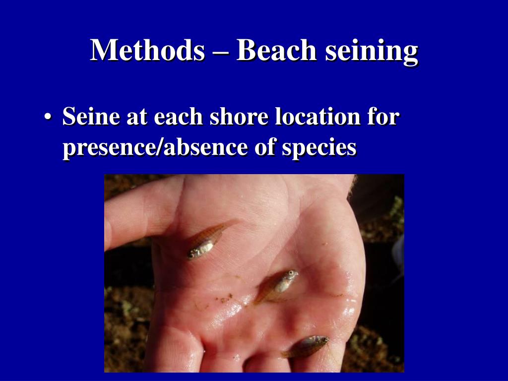 PPT - Zooplankton Community Mr. Don Ingles’ Pond PowerPoint ...