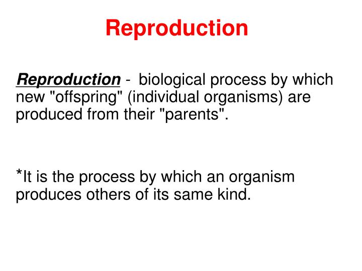 PPT - Heredity is the passing of traits from parent to offspring ...