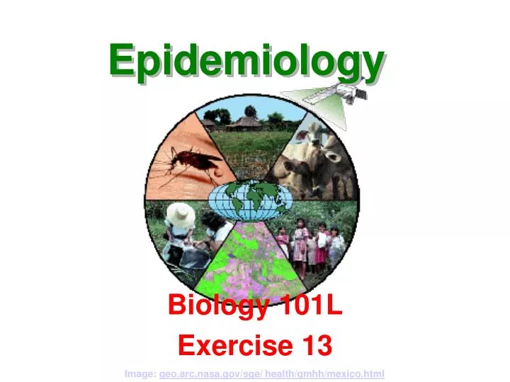 PPT - Epidemiology PowerPoint Presentation, free download - ID:5496389 PPT - Epidemiology PowerPoint Presentation, free download - ID:5496389