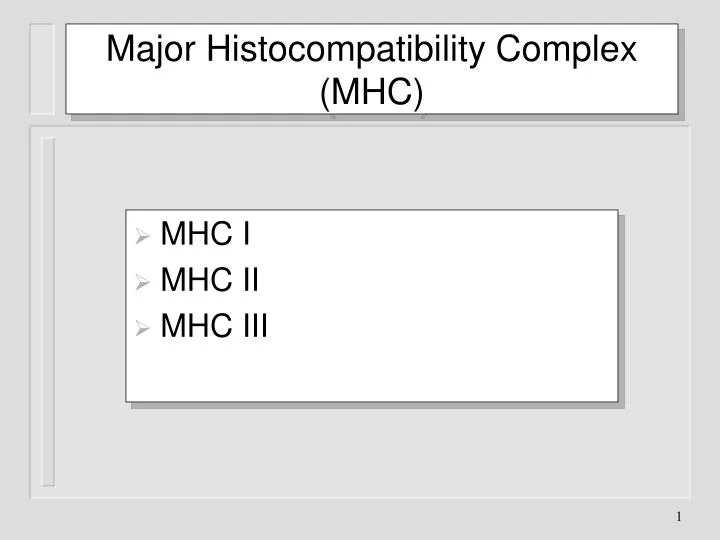PPT - Major Histocompatibility Complex (MHC) PowerPoint Presentation ...