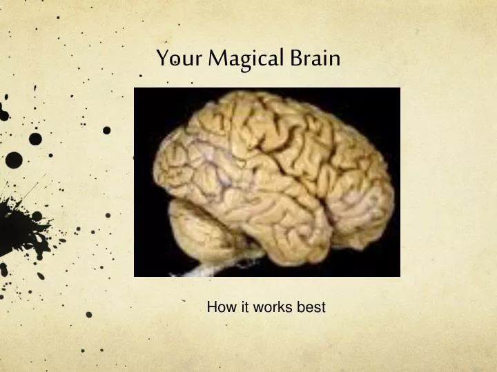 PPT - Your Magical Brain PowerPoint Presentation, free download - ID ...