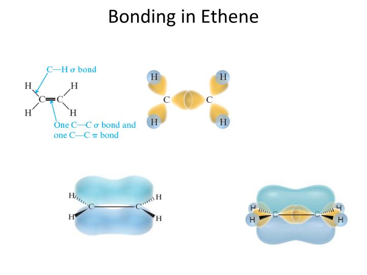 PPT - Sections 9 .1 – 9.3 Valence Bond Theory Hybrid Orbitals Sigma and ...