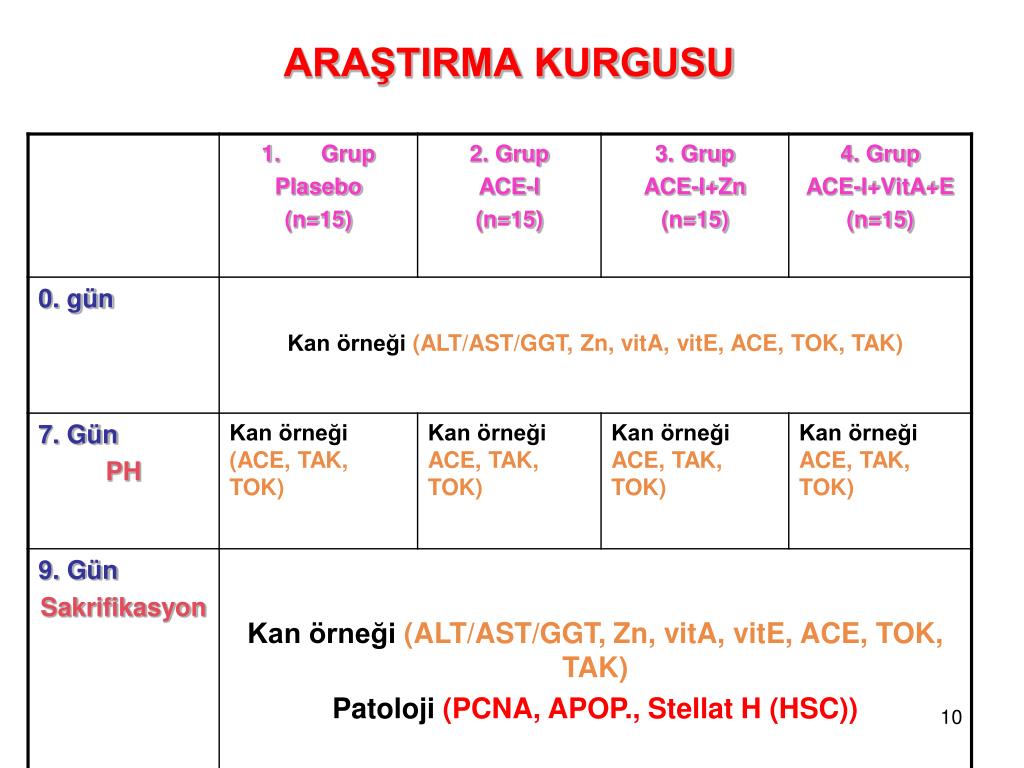PPT - Aygen Yılmaz, Mustafa Akçam, Ömer Özkan, Reha Artan PowerPoint ...