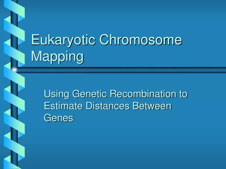 PPT - Eukaryotic Chromosome Mapping PowerPoint Presentation, free ...